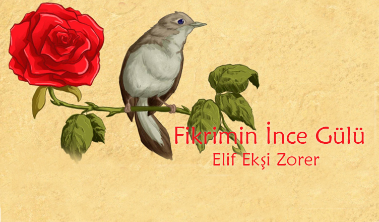 Fikrimin İnce Gülü / Elif Ekşi Zorer - DergiZan