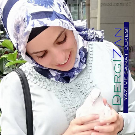 Öykü Avına Çıkarken / Melih Bayram Dede – DergiZan